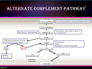 Complement system | PDF