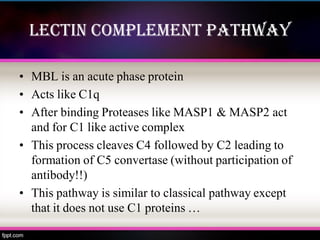 Complement system | PDF