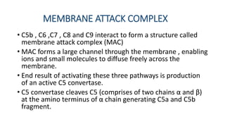 Complement system | PPTX