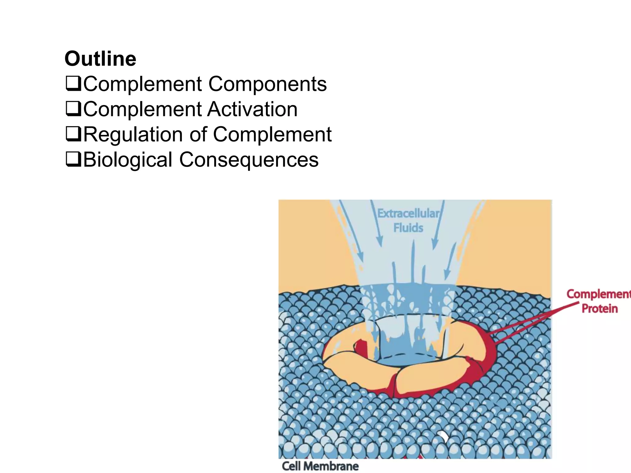 Complement system | PPTX | Genetics | Science