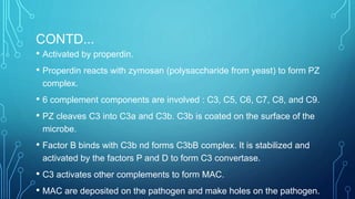 Complement system and innate immunity - classical & alternative ...