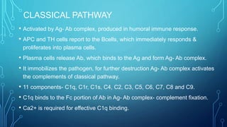 Complement system and innate immunity - classical & alternative ...