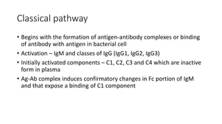 Complement system | PPT