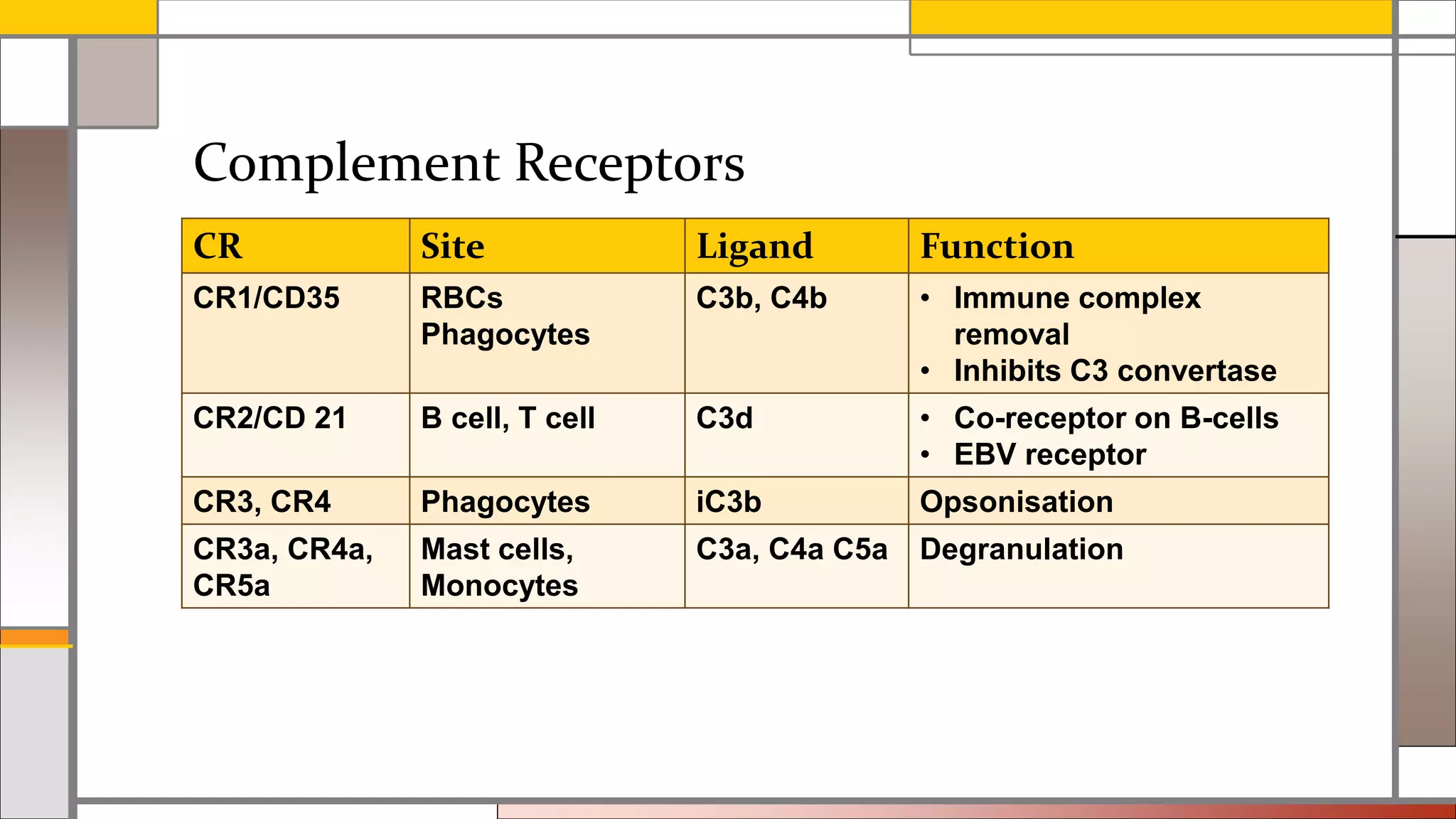 Complement system | PPTX