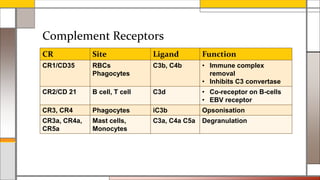 Complement system | PPTX
