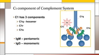 Complement system | PPTX