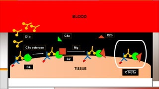 Complement system | PPTX