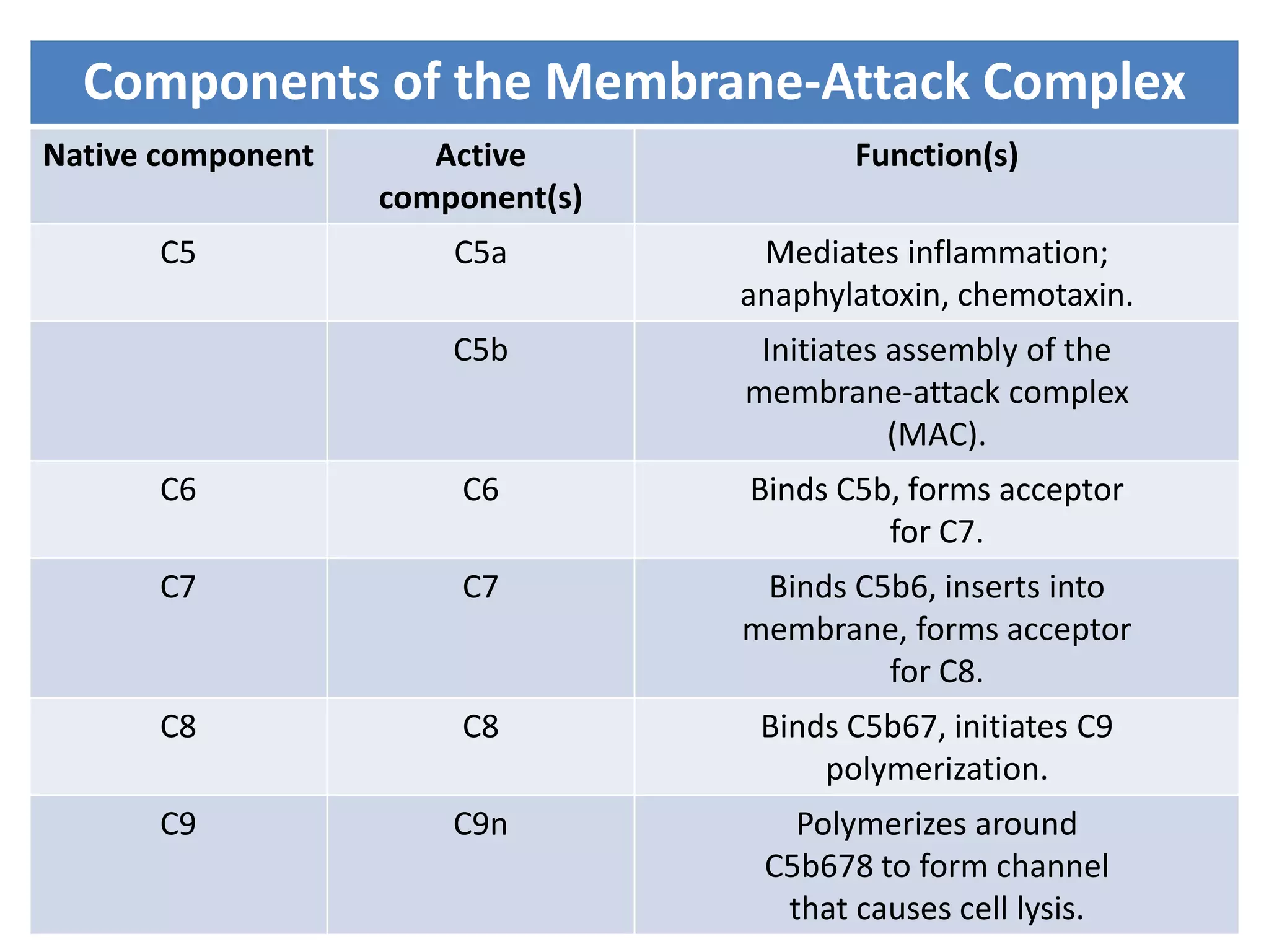 Complement system by Dr. Rakesh Prasad Sah | PPTX