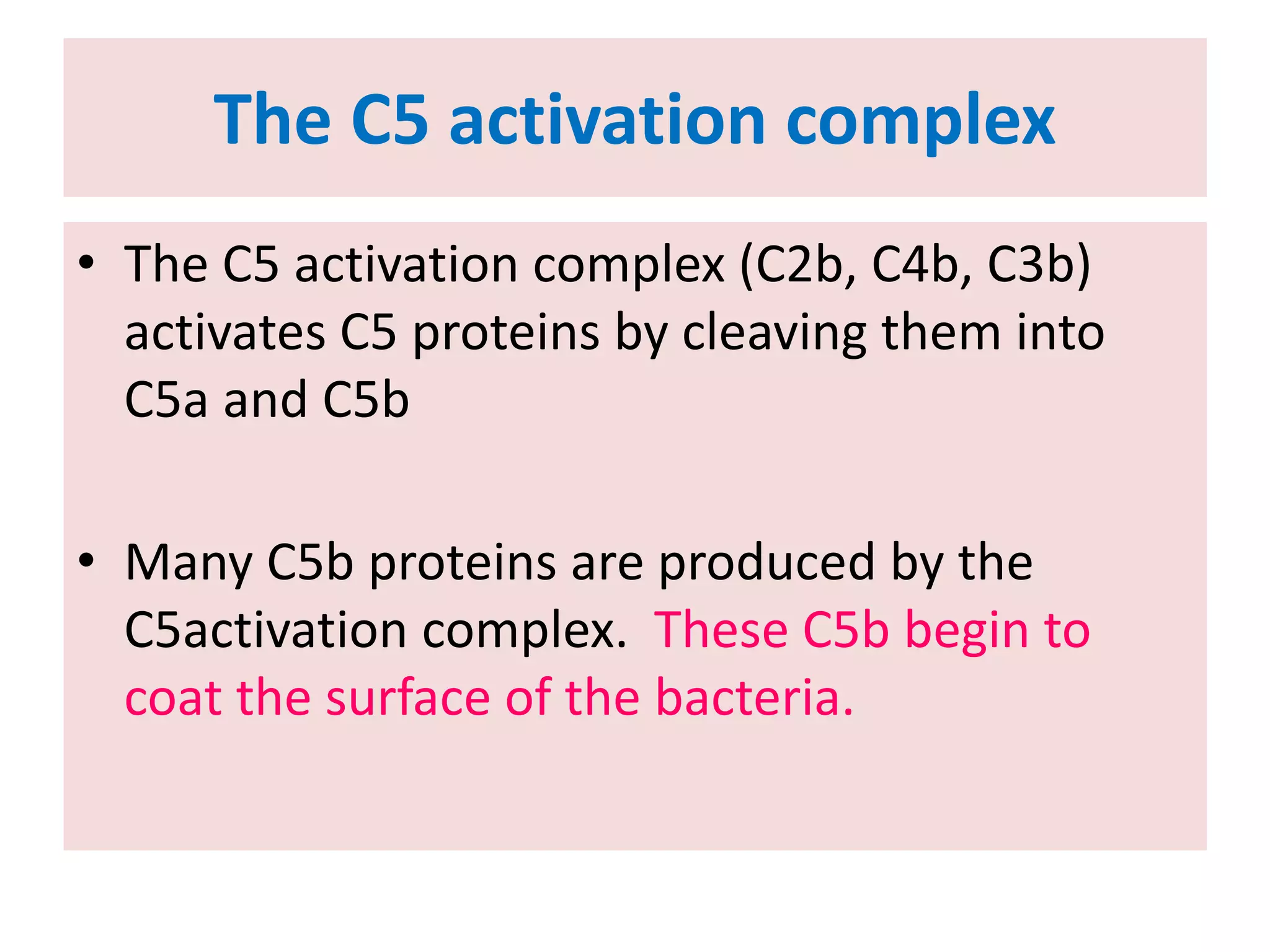 Complement system by Dr. Rakesh Prasad Sah | PPTX