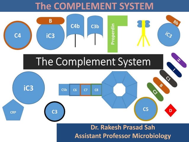 Complement system by Dr. Rakesh Prasad Sah | PPTX | Infectious Diseases ...