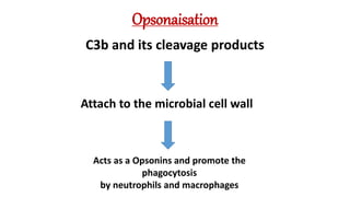 Complement system | PPTX