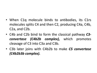 Complement system | PPTX | Chemistry | Science
