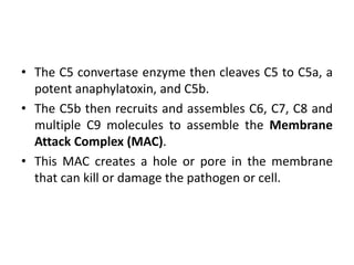 Complement system | PPTX | Chemistry | Science