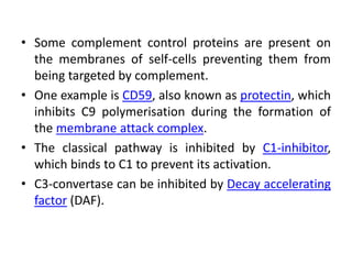 Complement system | PPTX | Chemistry | Science