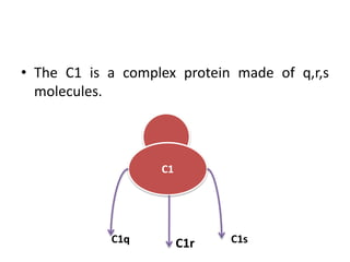 Complement system | PPTX | Chemistry | Science