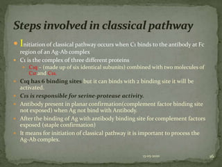 Complement system | PPT