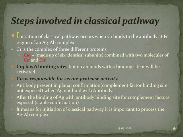 Complement system | PPT