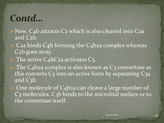 Complement system | PPT