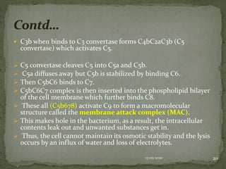 Complement system | PPT