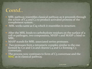 Complement system | PPT
