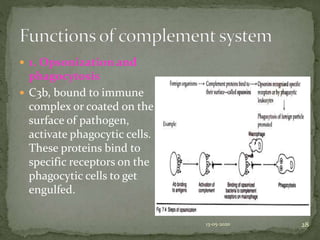 Complement system | PPT