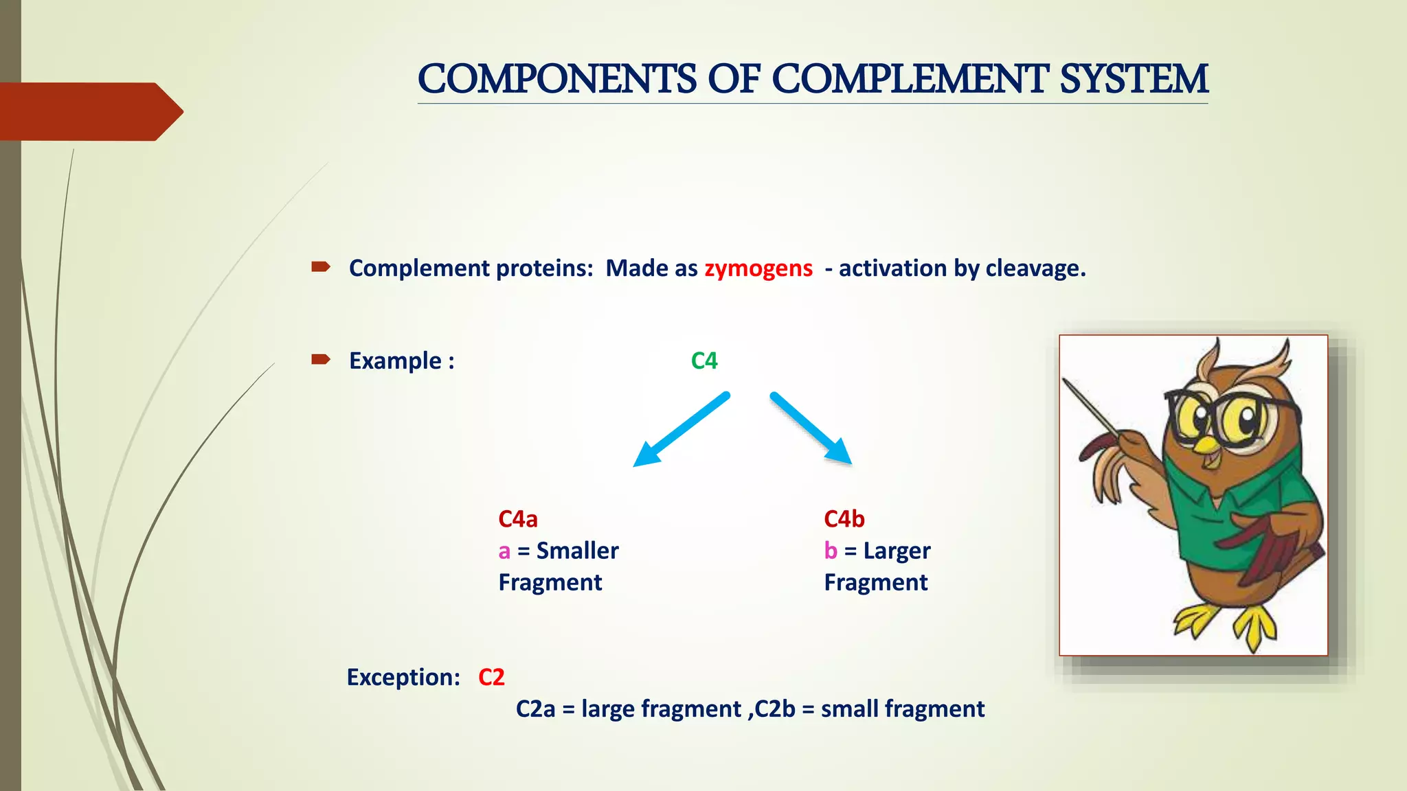 Complement system | PPTX