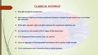Complement system | PPTX
