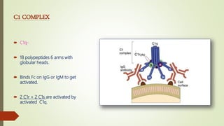 Complement system | PPTX