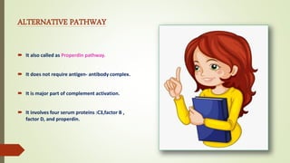 Complement system | PPTX