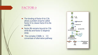 Complement system | PPTX