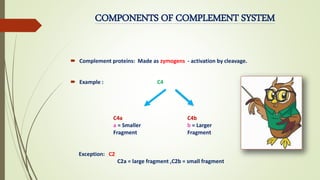 Complement system | PPTX