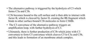 Complement system | PPT