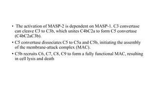 Complement system | PPT