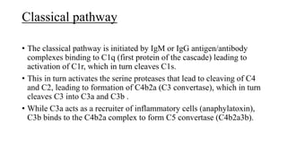 Complement system | PPT