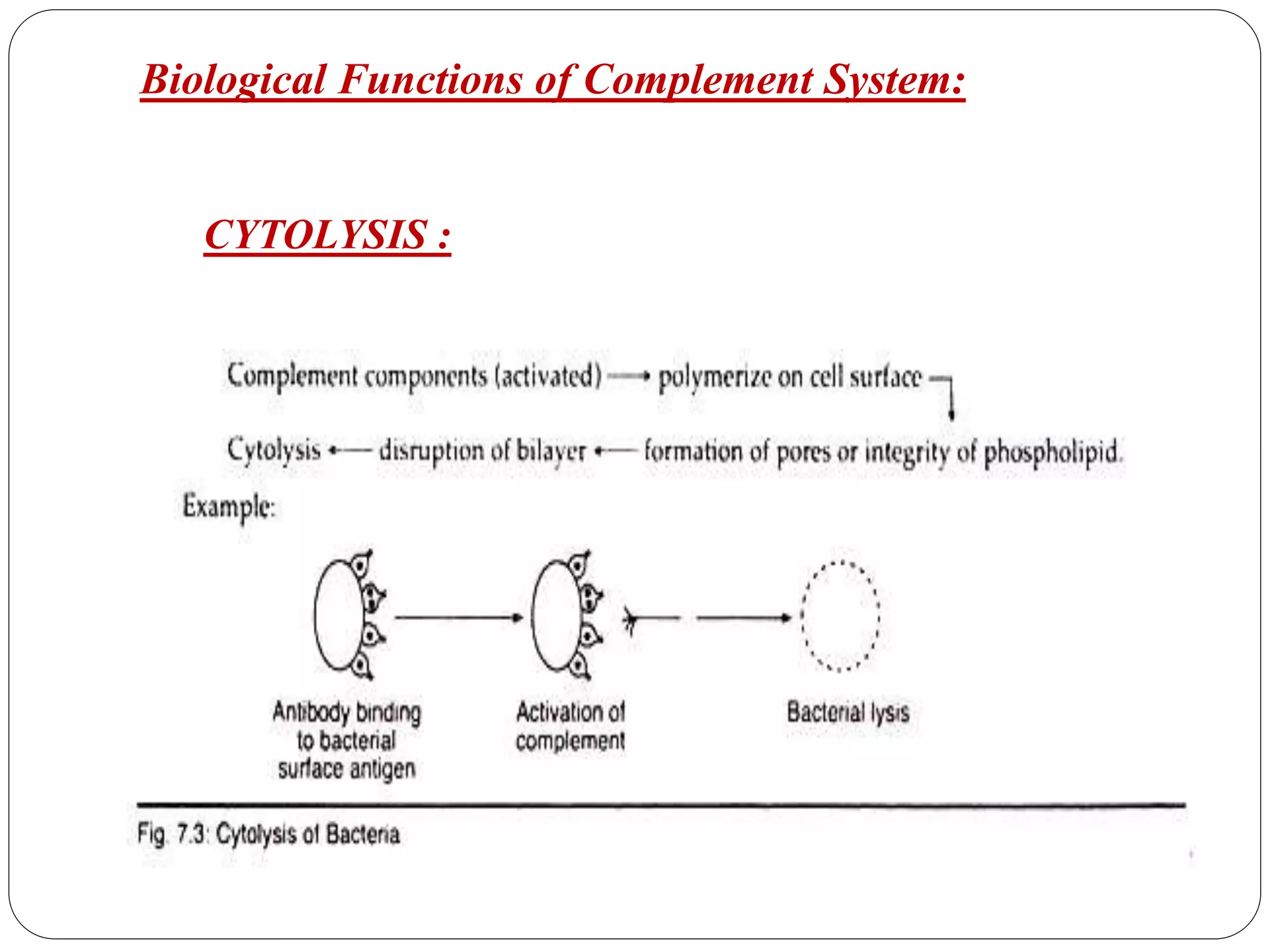Complement system | PPT