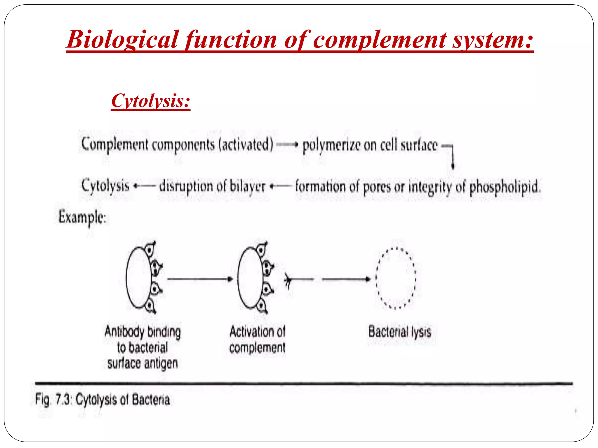 Complement system.pptx2 | PPT