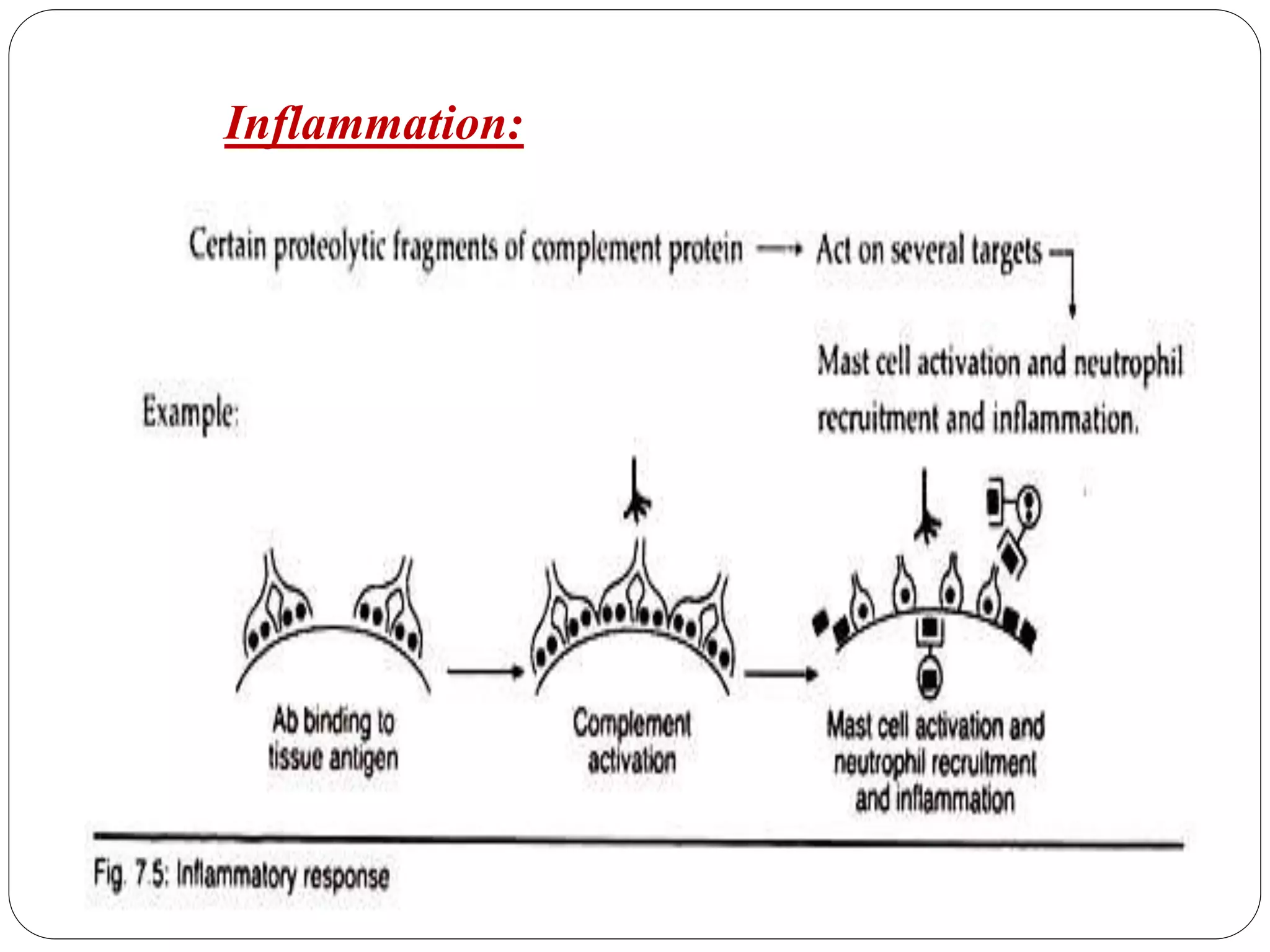 Complement system.pptx2 | PPT