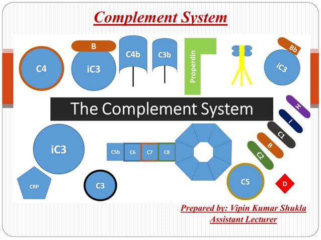Complement system.pptx2 | PPT