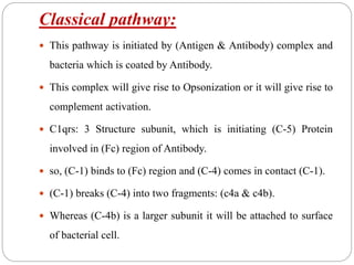 Complement system.pptx2 | PPT