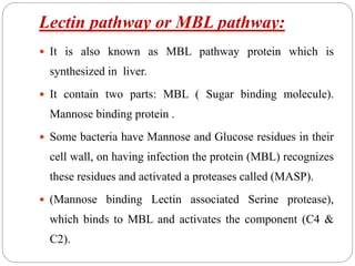 Complement system.pptx2 | PPT
