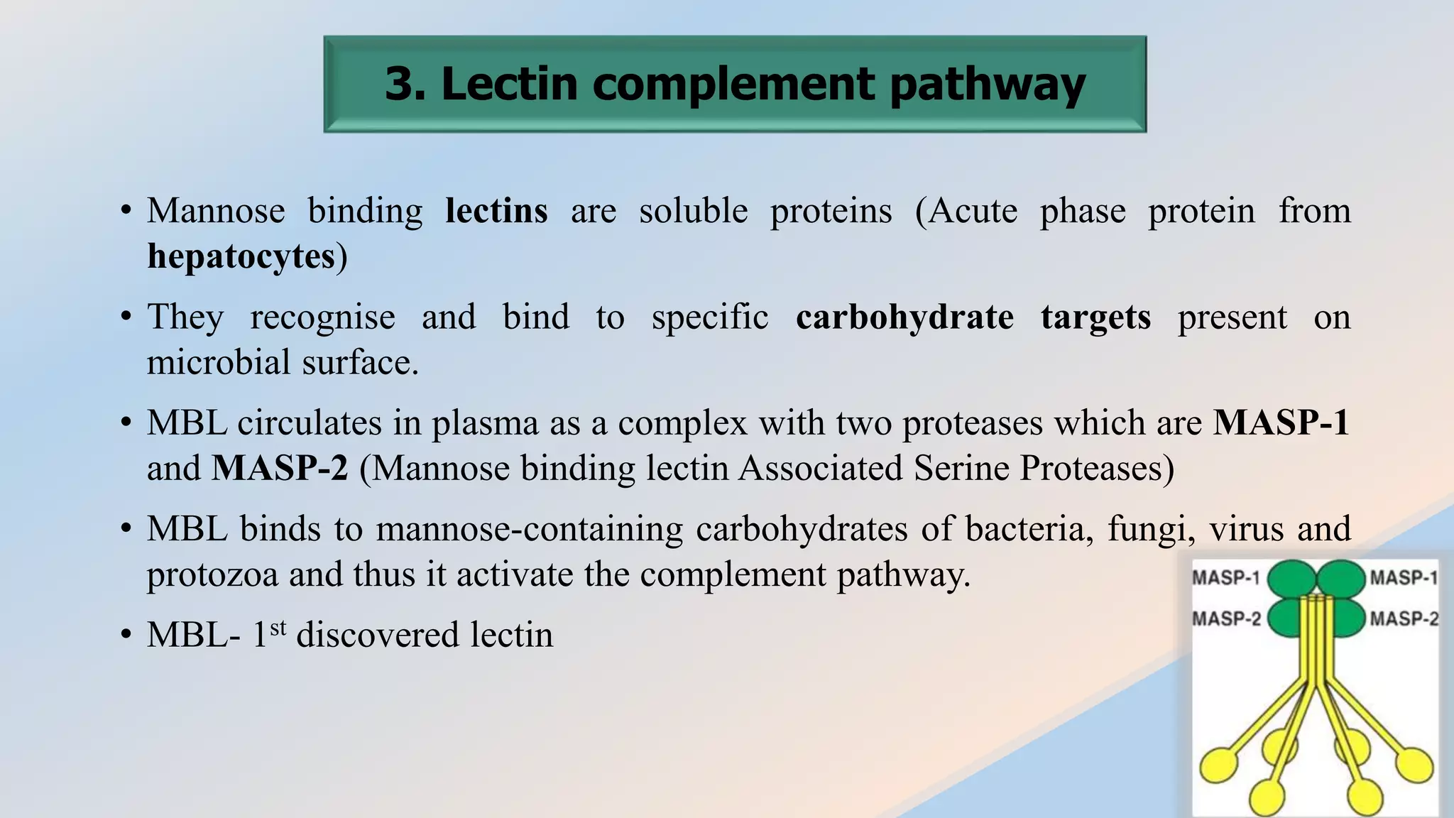 Fish Complement system- Pathways and Regulations | PPTX