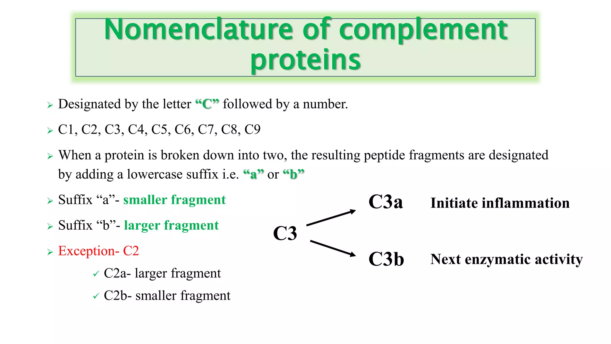 Fish Complement system- Pathways and Regulations | PPTX