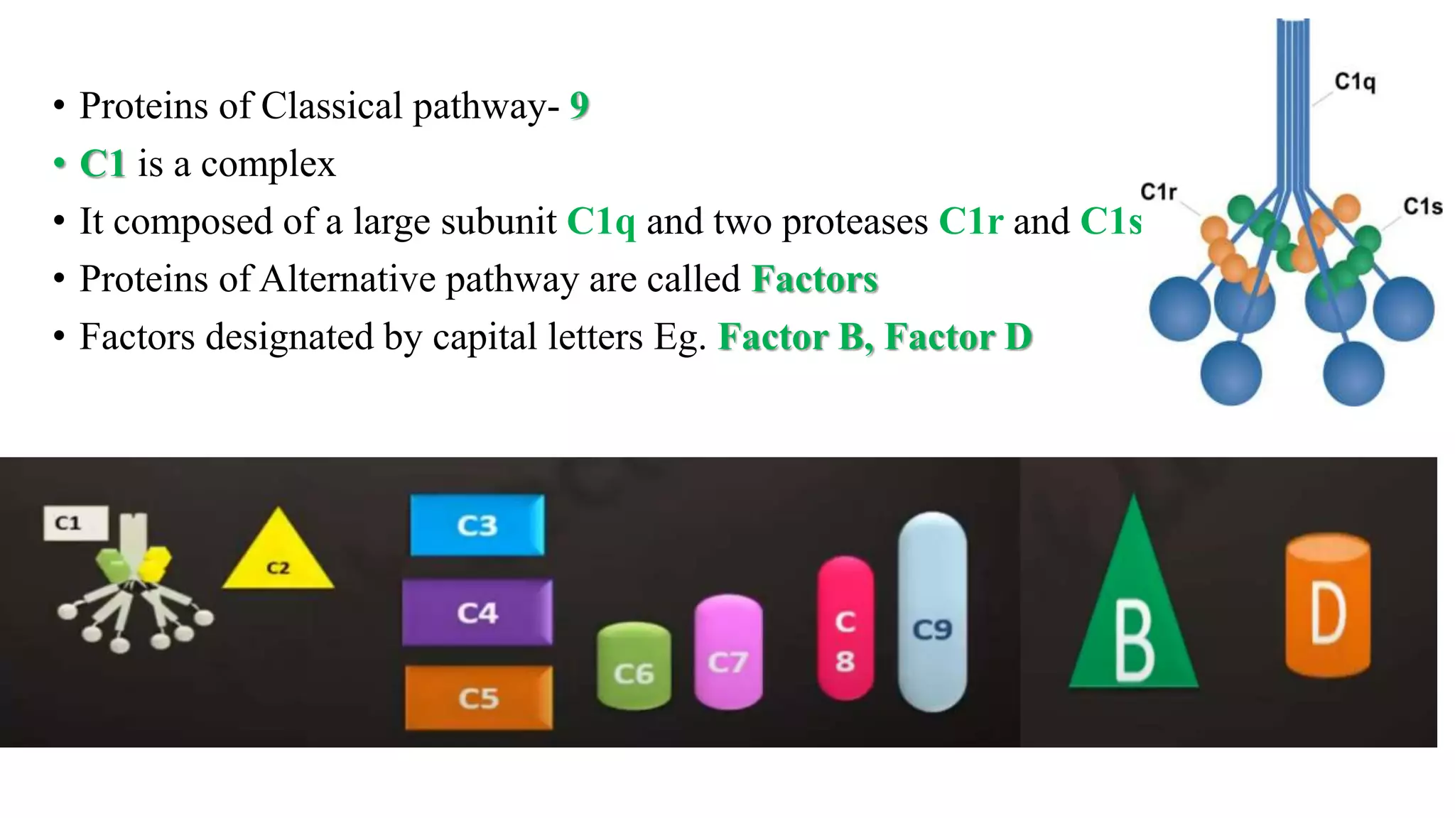 Fish Complement system- Pathways and Regulations | PPTX