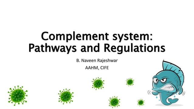 Fish Complement system- Pathways and Regulations | PPTX