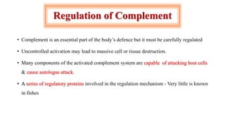 Fish Complement system- Pathways and Regulations | PPTX