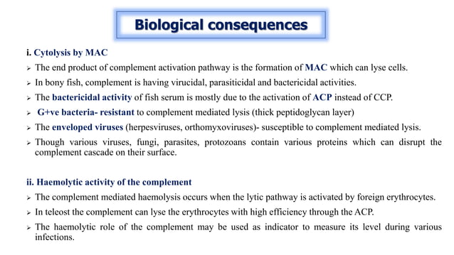 Fish Complement system- Pathways and Regulations | PPTX