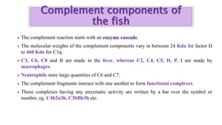 Fish Complement system- Pathways and Regulations | PPTX