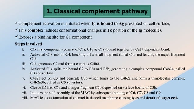 Fish Complement system- Pathways and Regulations | PPTX