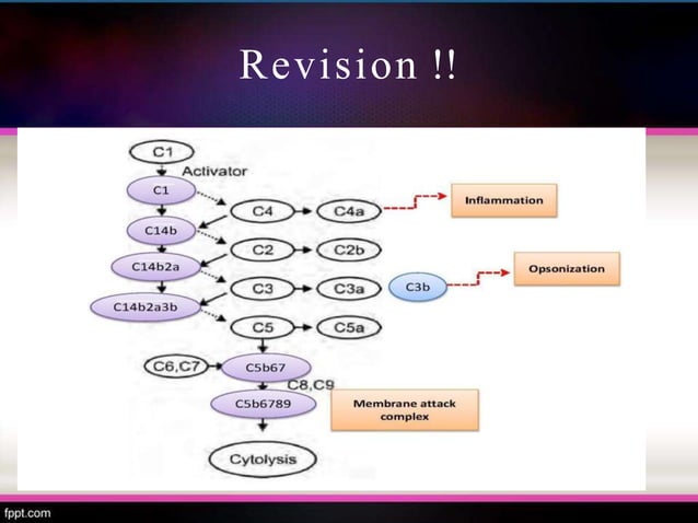 Complement system | PPT