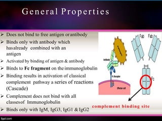 Complement system | PPTX
